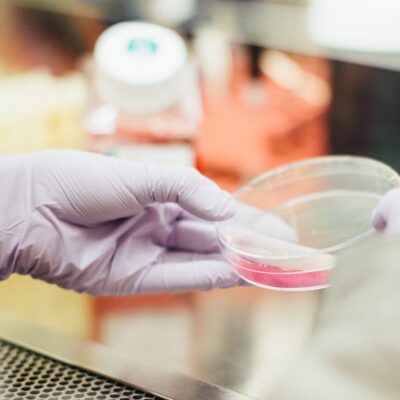 The HDF5® Library & File Format - The HDF Group - ensuring long-term ...